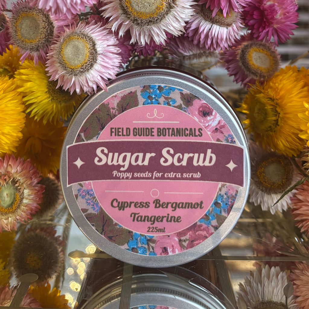 Cypress Garden Sugar Scrub – Big Beer Soap Company